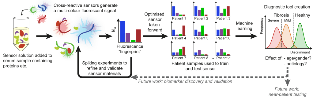 Projects – Peveler Bio-Nano-Sensing Laboratory